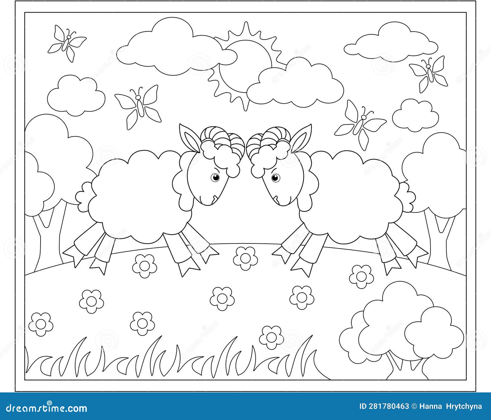 Fight Of Two Rams And A Small Flock Of Sheep On The Background Of ...