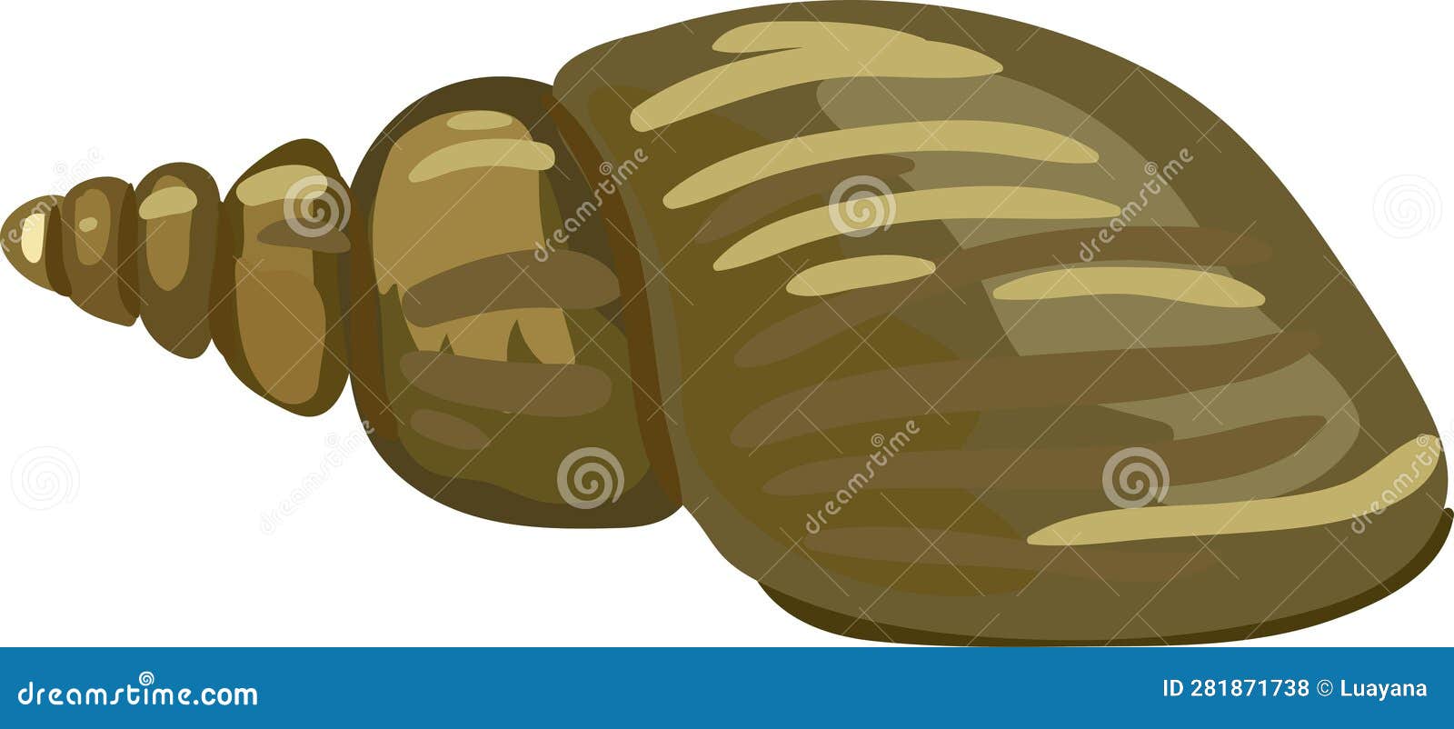 Shell of Giant African Land Snail (Lissachatina Fulica Stock Vector ...