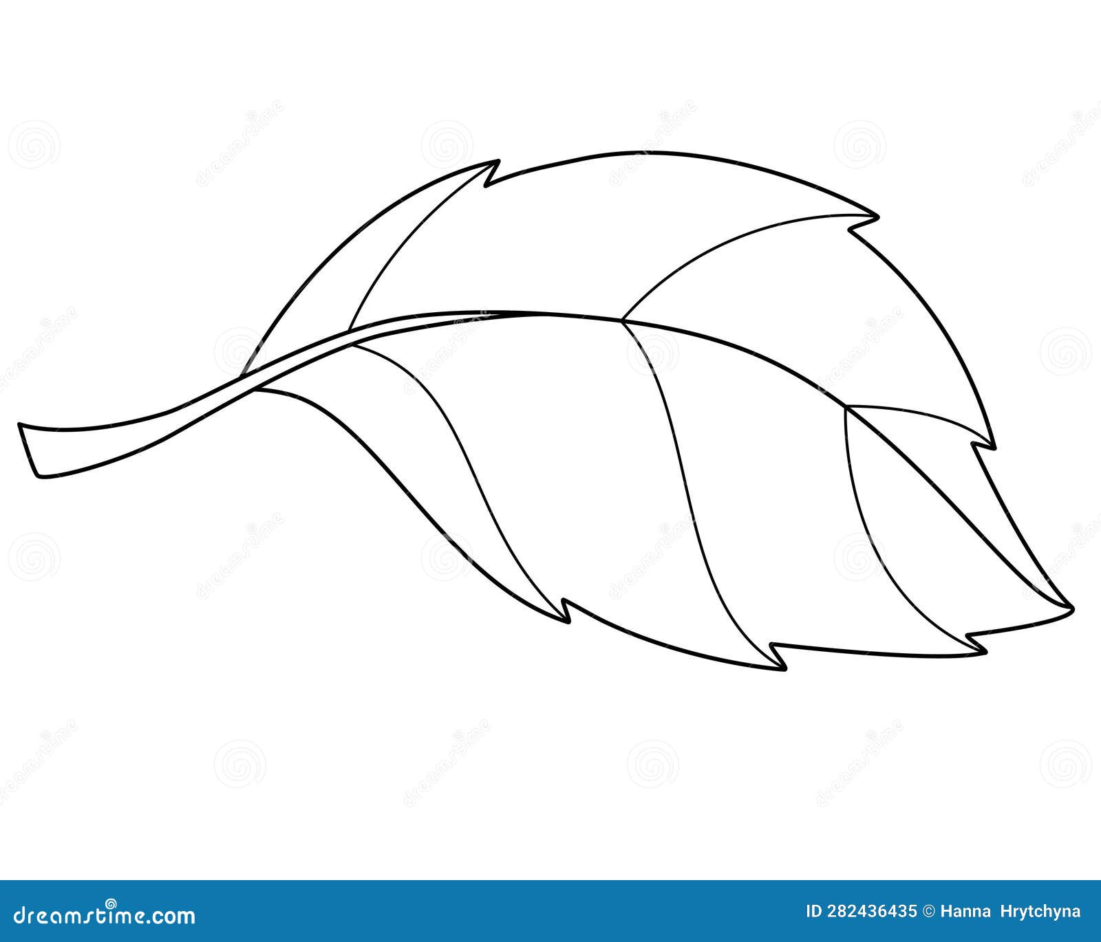 Leaf of a Tree or Other Plant - Vector Linear Picture for Coloring ...