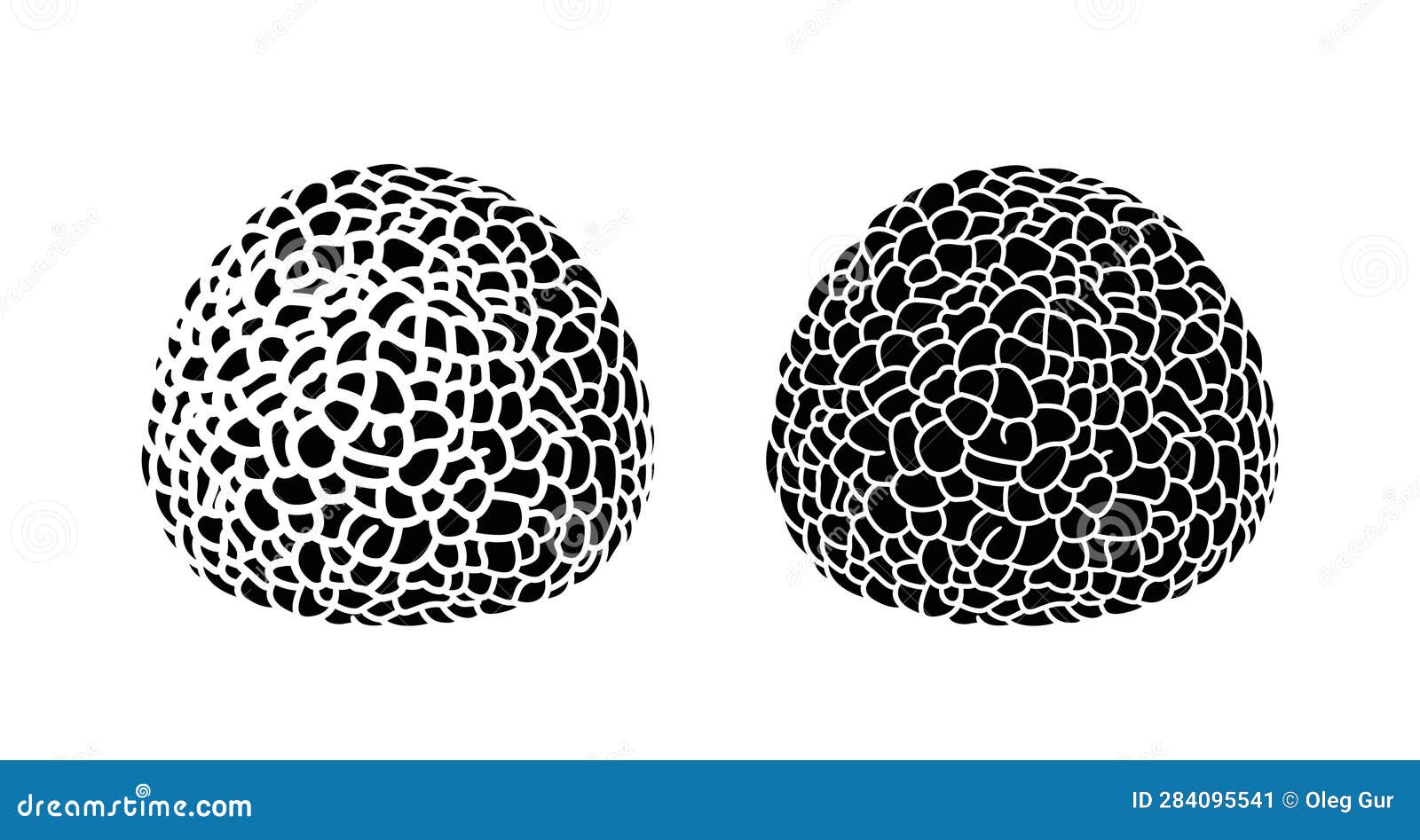 Truffle Logo. Isolated Truffle on White Background Stock Vector ...