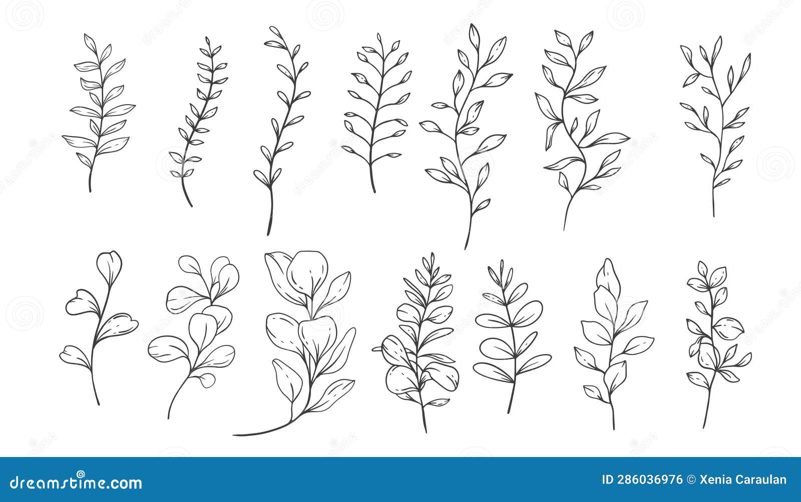 Greenery Line Art, Fine Line Leaves Hand Drawn Illustration. Botanical ...