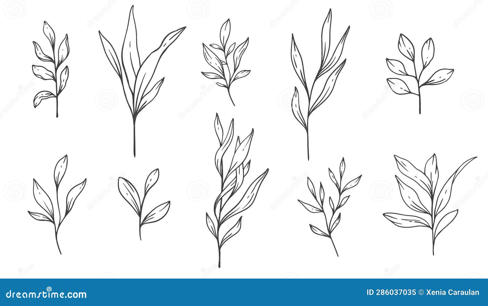 Greenery Line Art, Fine Line Leaves Hand Drawn Illustration. Botanical ...
