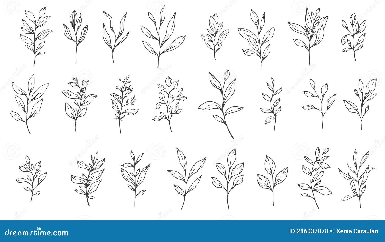 Greenery Line Art, Fine Line Leaves Hand Drawn Illustration. Botanical ...