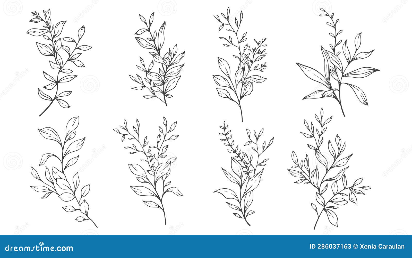 Greenery Line Art, Fine Line Leaves Hand Drawn Illustration. Botanical ...