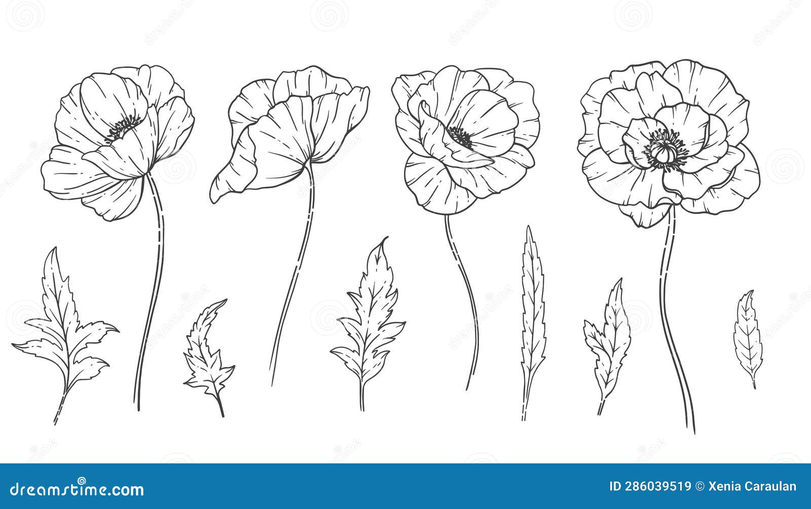 Poppy Flower Line Art, Fine Line Poppy Bouquets Hand Drawn Outline ...