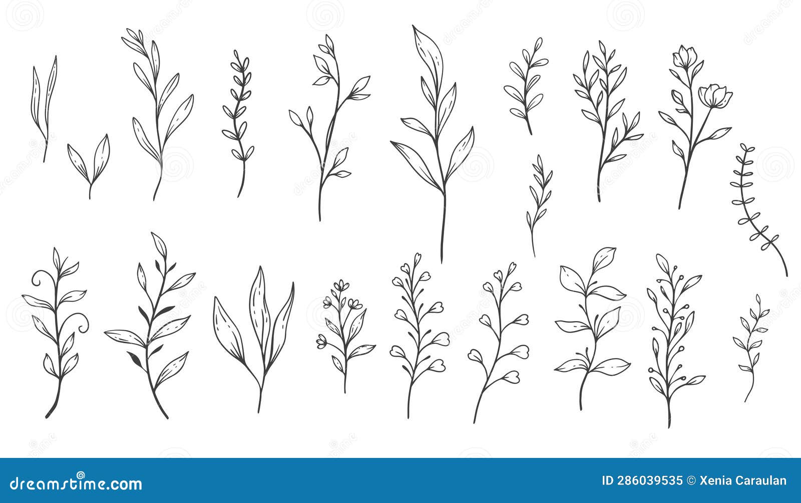 Greenery Line Art, Fine Line Leaves Hand Drawn Illustration. Botanical ...