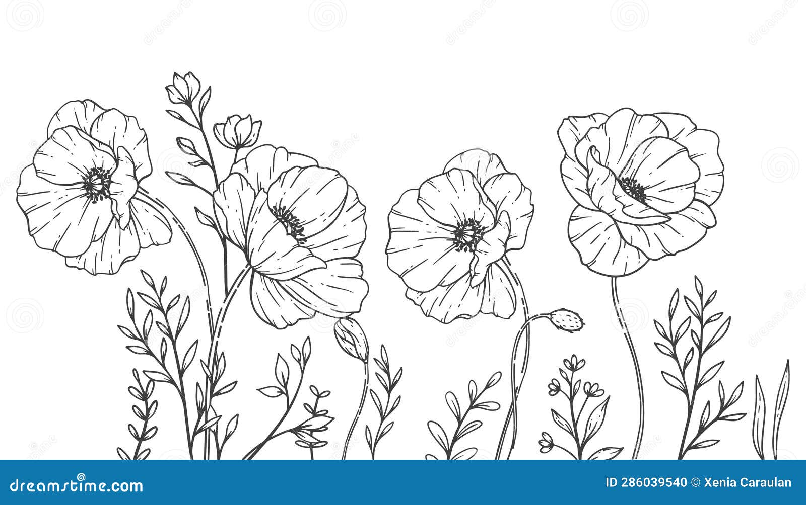 Poppy Flower Line Art, Fine Line Poppy Bouquets Hand Drawn Outline ...