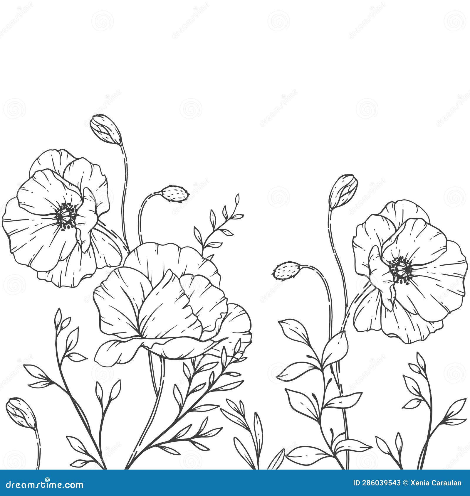 Poppy Flower Line Art, Fine Line Poppy Bouquets Hand Drawn Outline ...