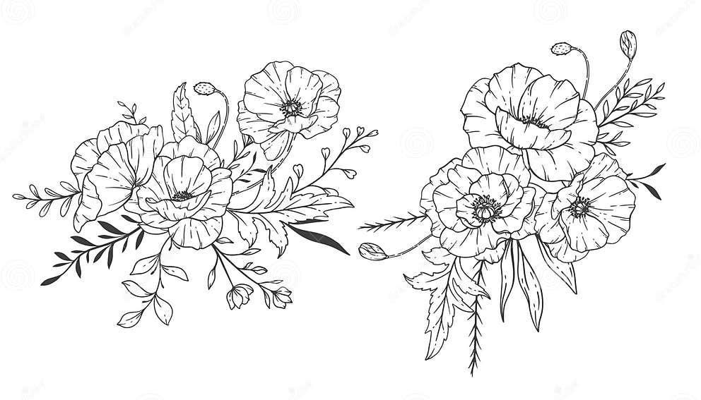 Poppy Flower Line Art, Fine Line Poppy Bouquets Hand Drawn Outline ...