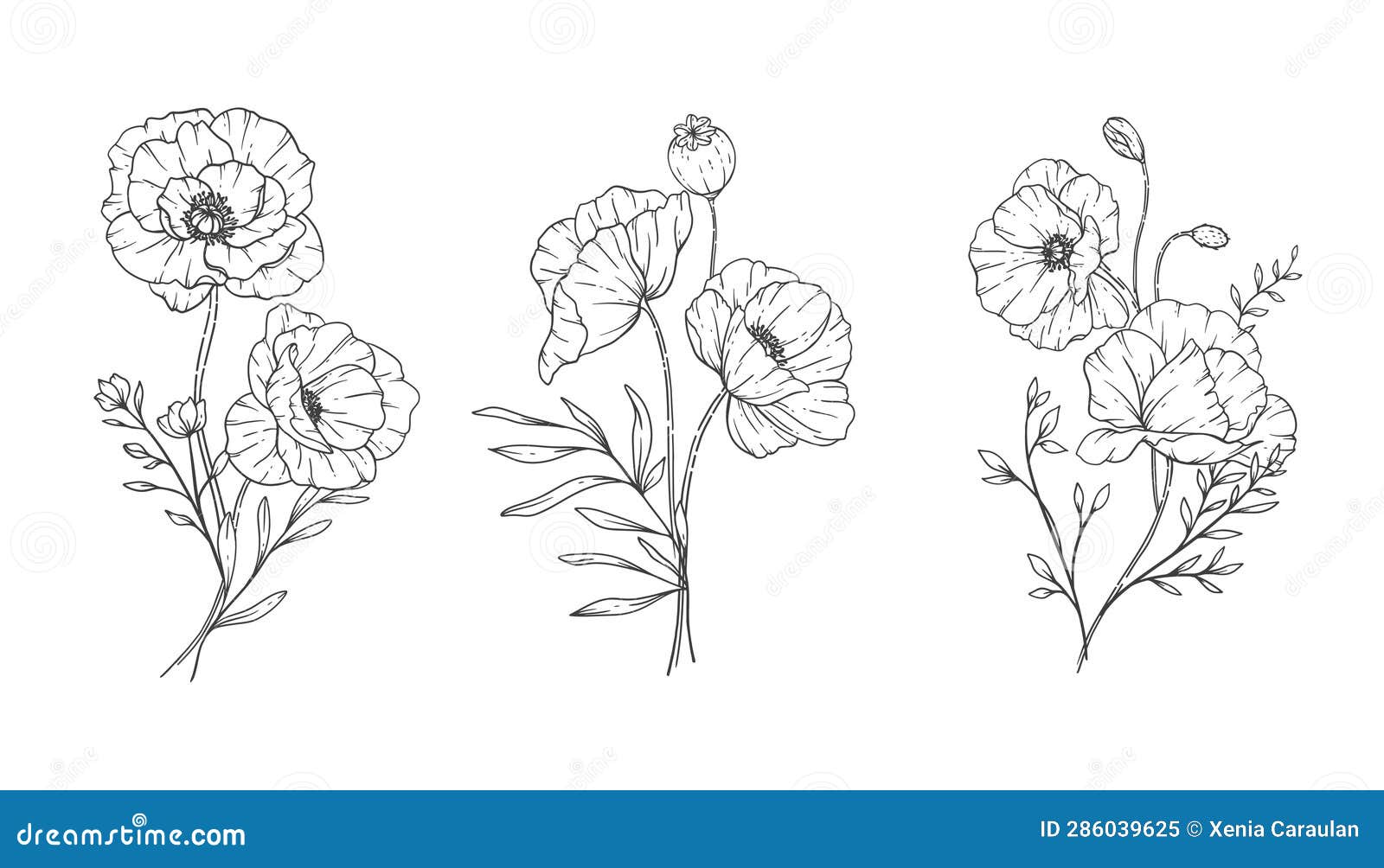 Poppy Flower Line Art, Fine Line Poppy Bouquets Hand Drawn Illustration ...