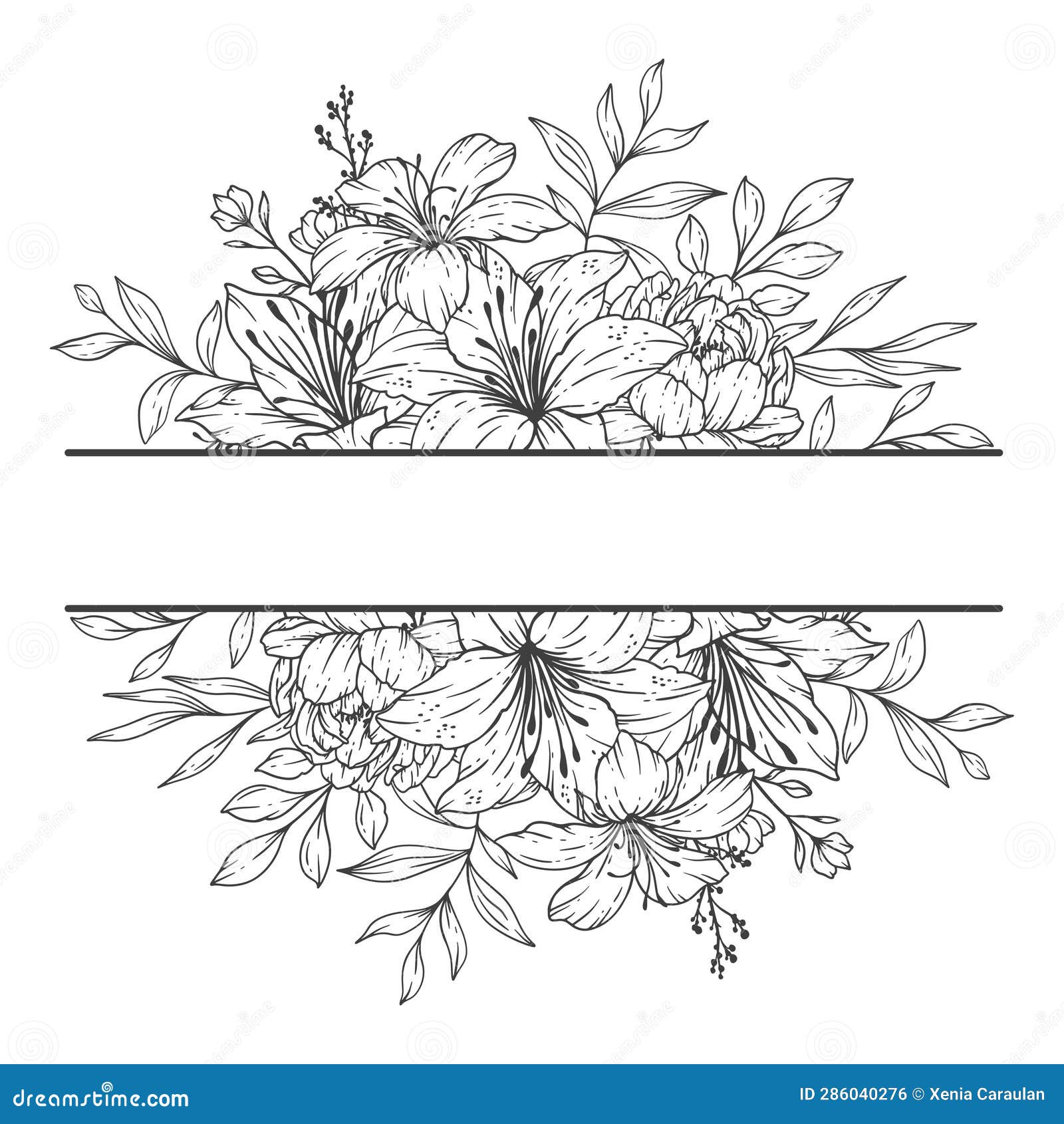 Floral Frames Line Art, Fine Line Wildflower Frames Hand Drawn Outline ...
