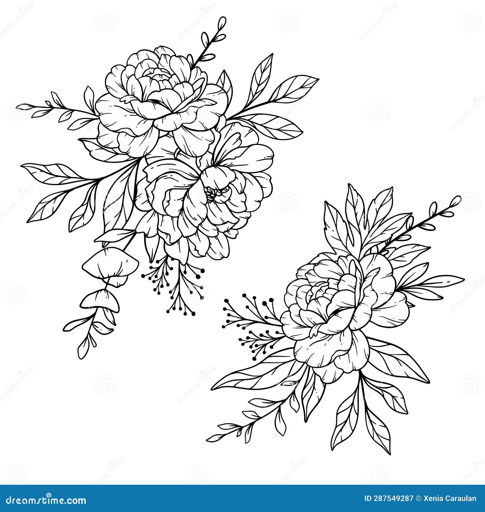 Peony Line Art, Fine Line Peony Bouquets Hand Drawn Illustration Stock ...