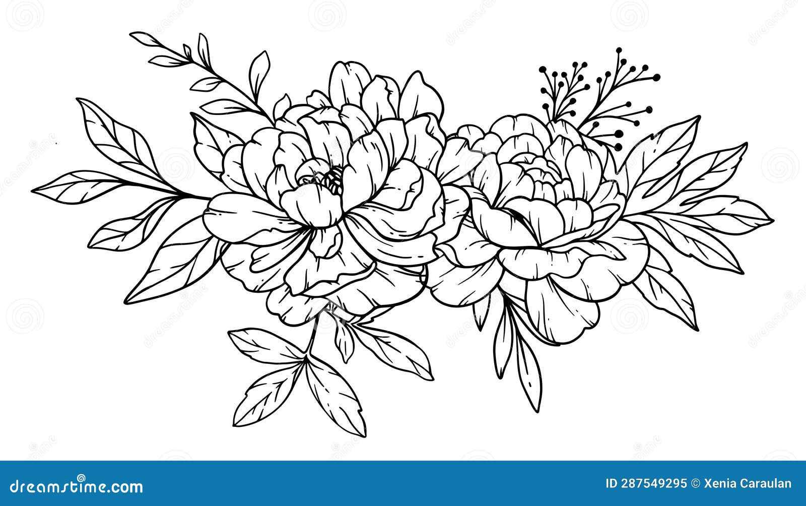 Peony Line Art, Fine Line Peony Bouquets Hand Drawn Illustration Stock ...