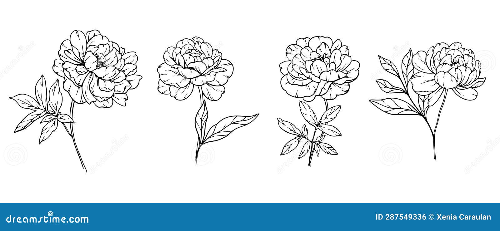 Peony Line Art, Fine Line Peony Bouquets Hand Drawn Illustration Stock ...