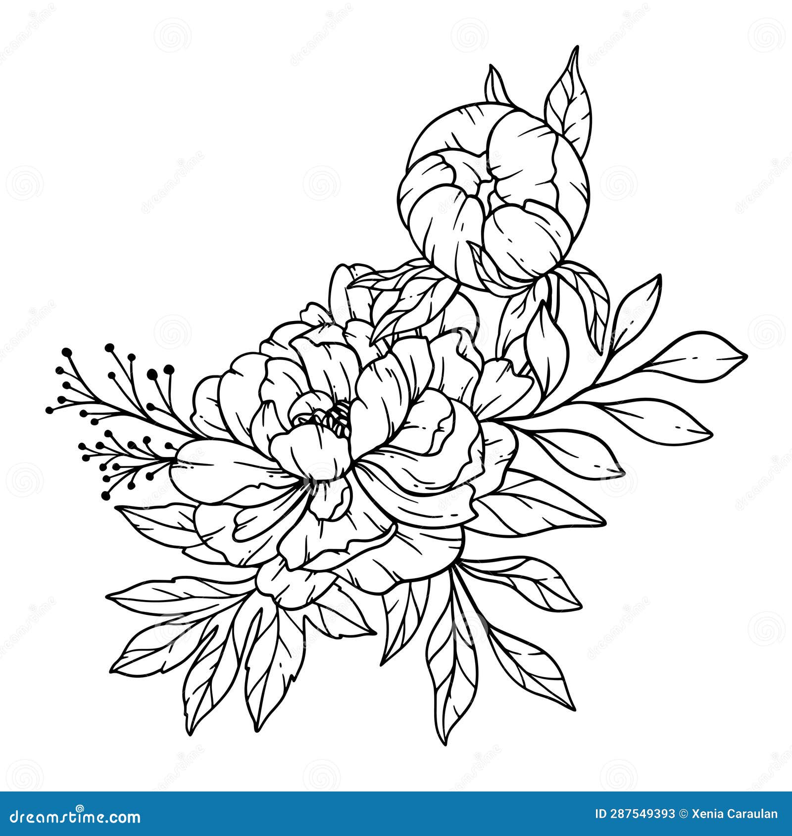 Peony Line Art, Fine Line Peony Bouquets Hand Drawn Illustration Stock ...