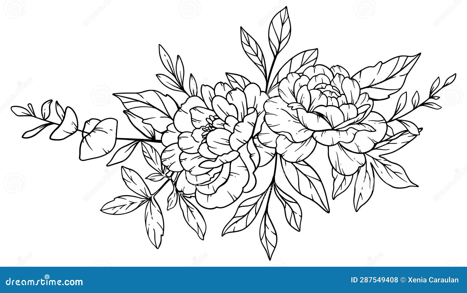 Peony Line Art, Fine Line Peony Bouquets Hand Drawn Illustration Stock ...