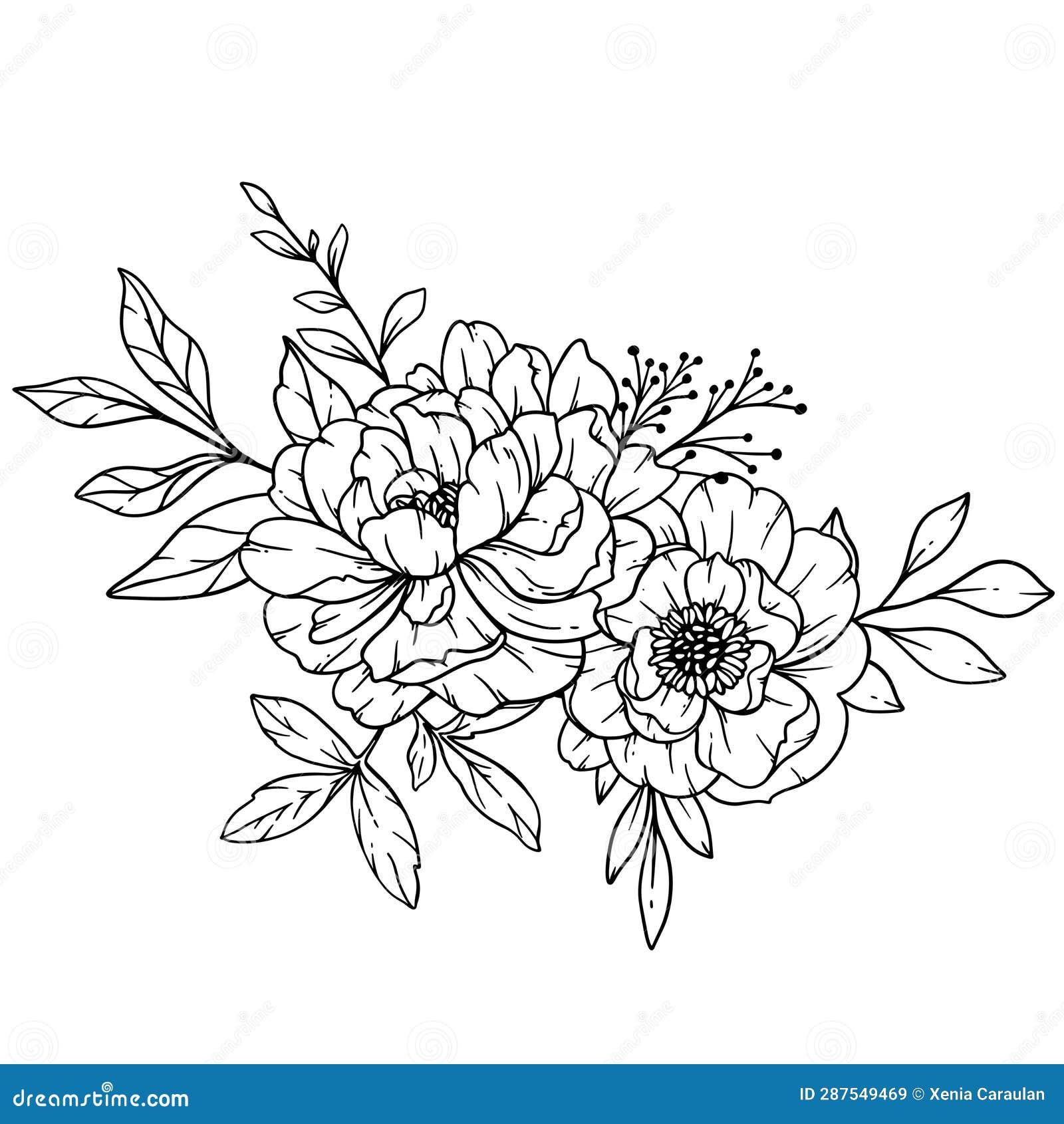 Peony Line Art, Fine Line Peony Bouquets Hand Drawn Illustration Stock ...