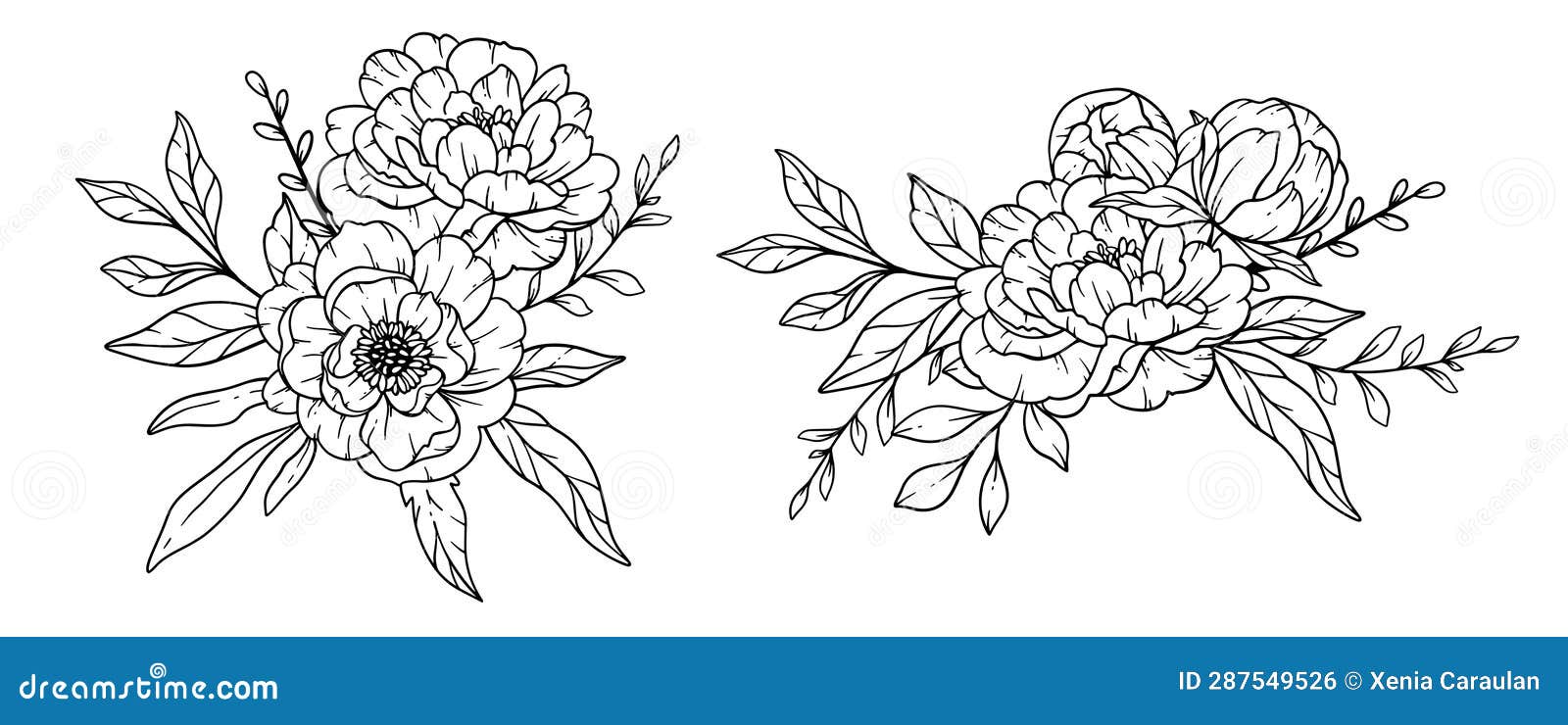 Peony Line Art, Fine Line Peony Bouquets Hand Drawn Illustration Stock ...