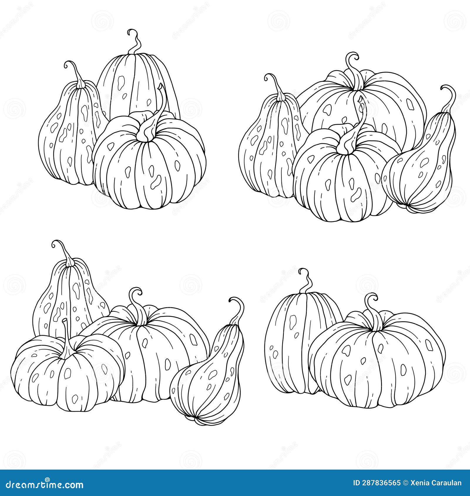 Pumpkins Line Art Illustration, Outline Pumpkin Arrangement Hand Drawn ...