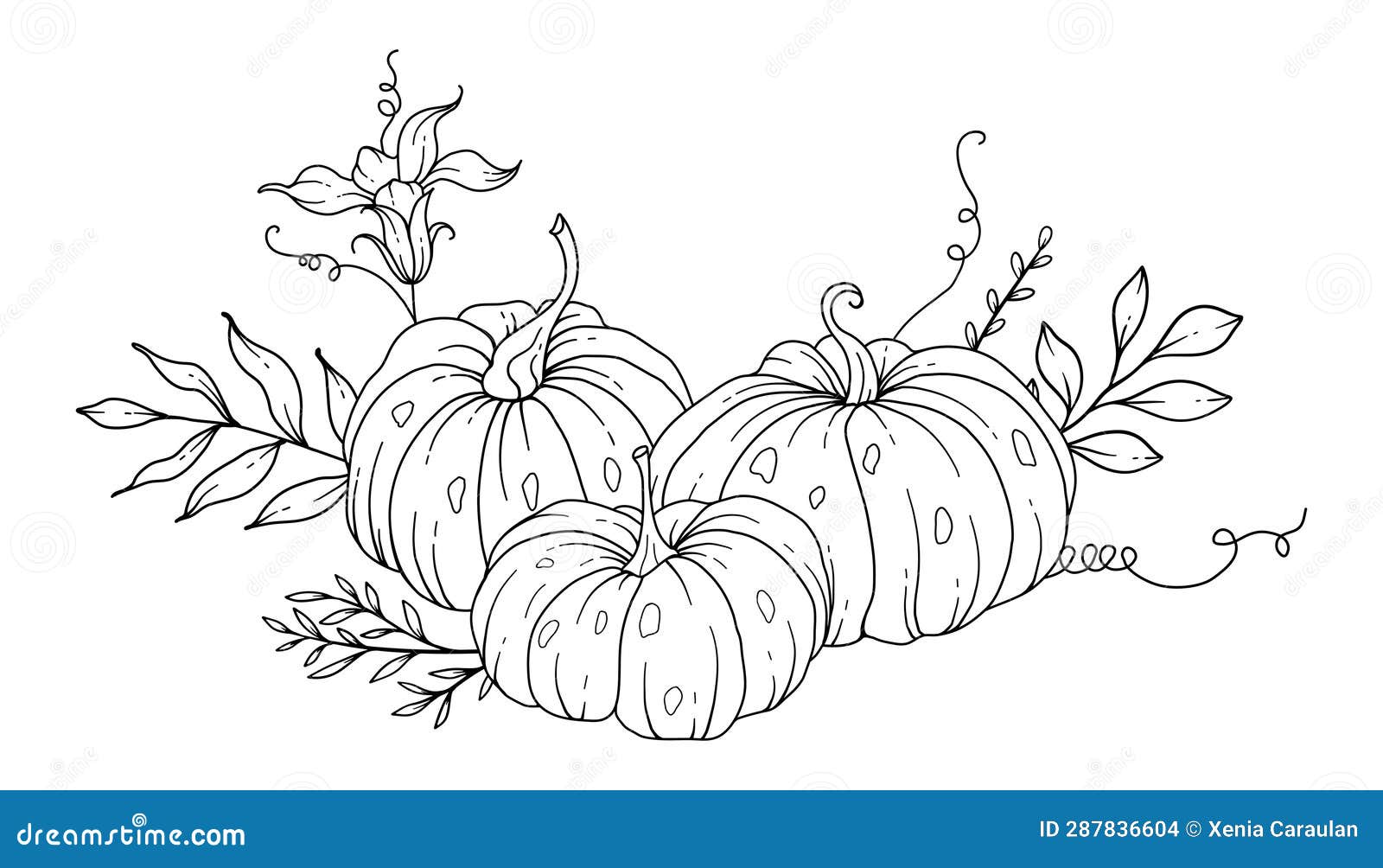 Pumpkins Line Art Illustration, Outline Pumpkin Arrangement Hand Drawn ...