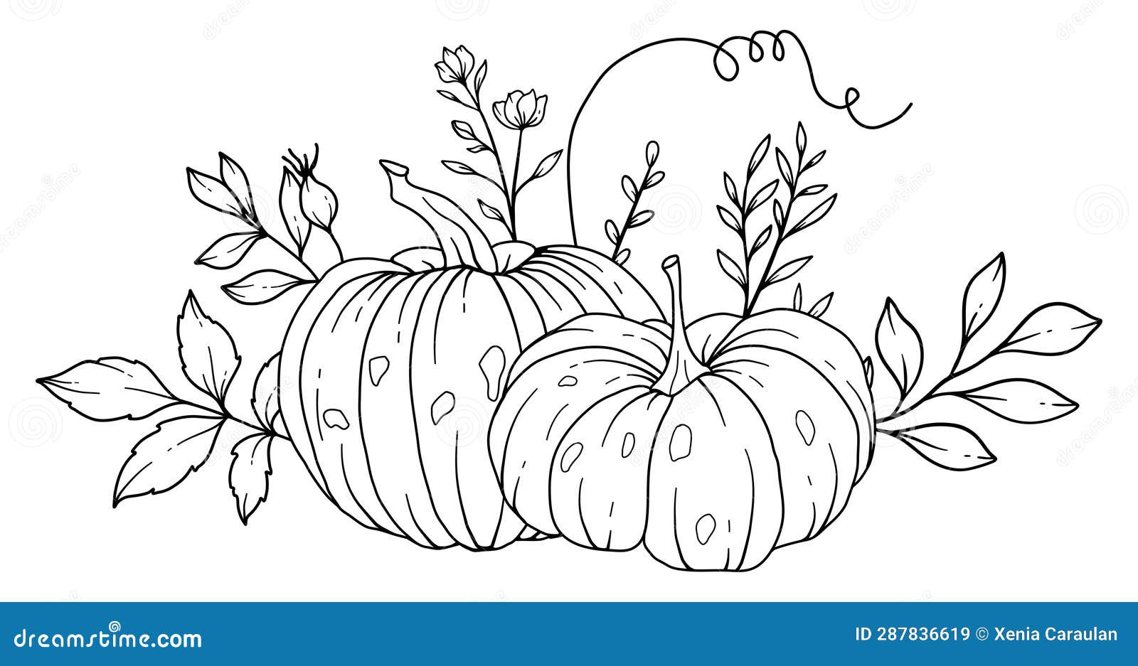 Pumpkins Line Art Illustration, Outline Pumpkin Arrangement Hand Drawn ...