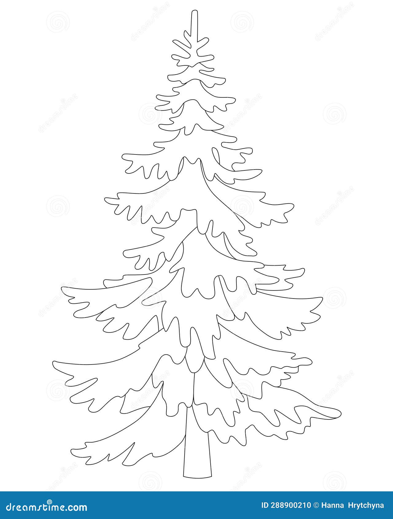 Spruce, Coniferous Evergreen Tree - Vector Linear Picture for Coloring ...
