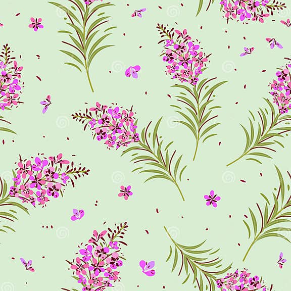 Vector Seamless Pattern with Fireweed Plant Stock Illustration ...
