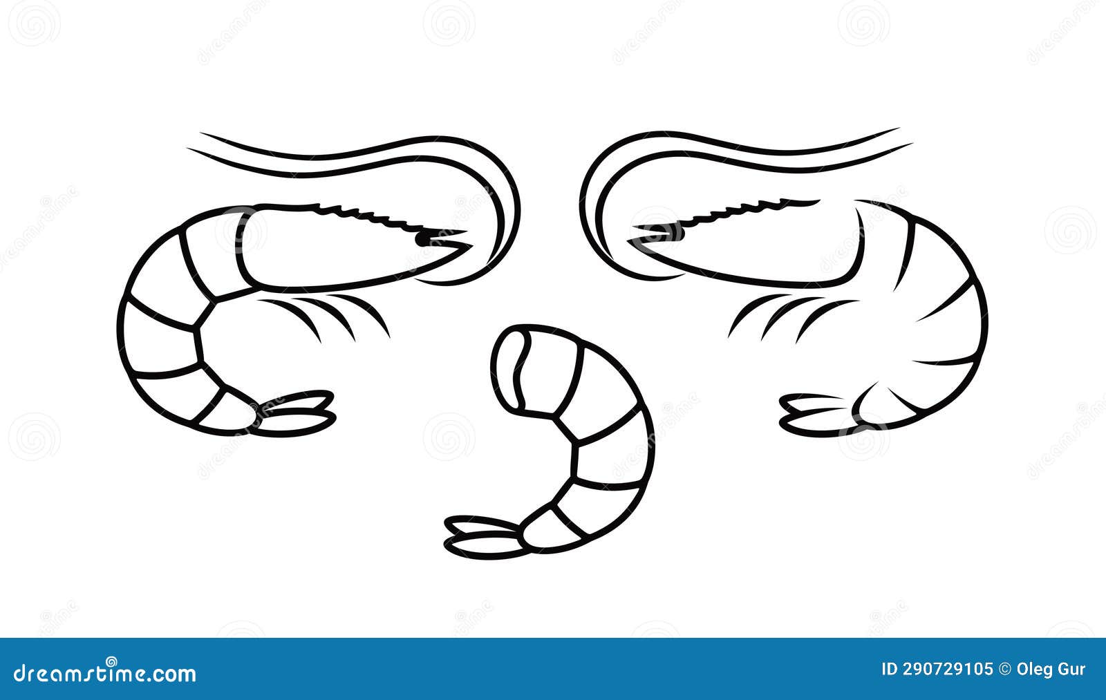 Shrimp. Outline Drawing Sketch Illustration. Royalty-Free Stock ...