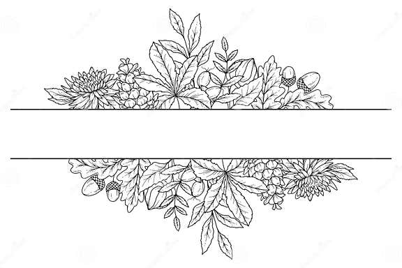 Fall Floral Frame Outline. Fall Foliage Line Art Illustration, Outline ...