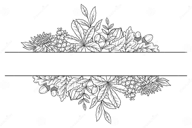 Fall Floral Frame Outline. Fall Foliage Line Art Illustration, Outline ...