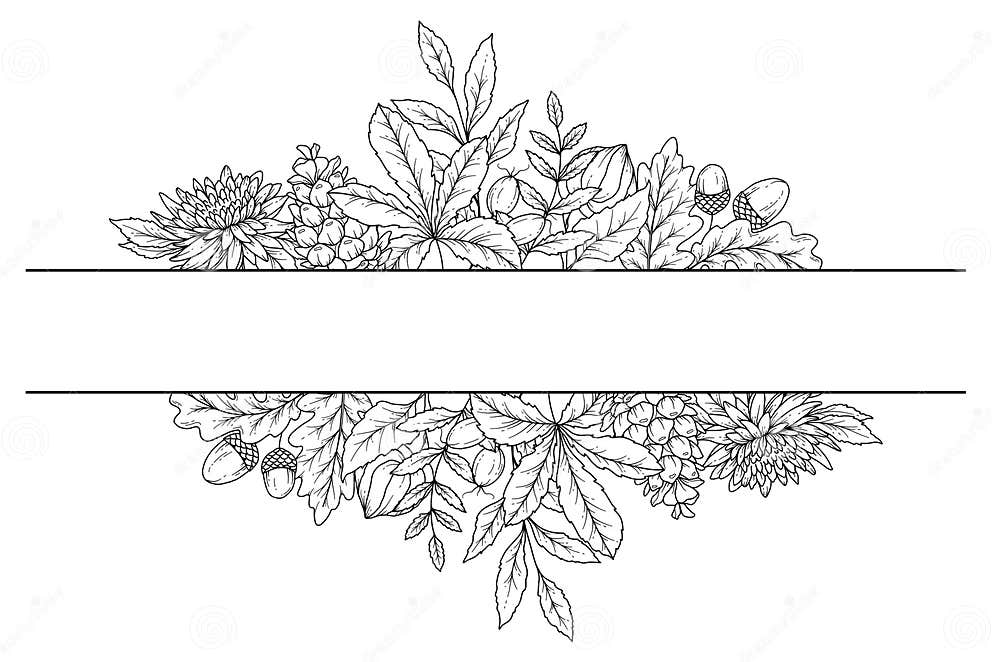 Fall Floral Frame Outline. Fall Foliage Line Art Illustration, Outline ...