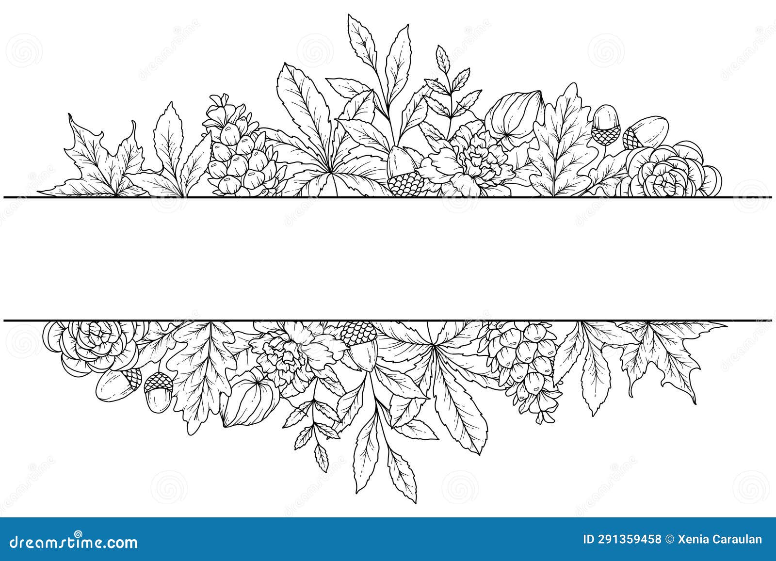 Fall Floral Frame Outline. Fall Foliage Line Art Illustration, Outline ...