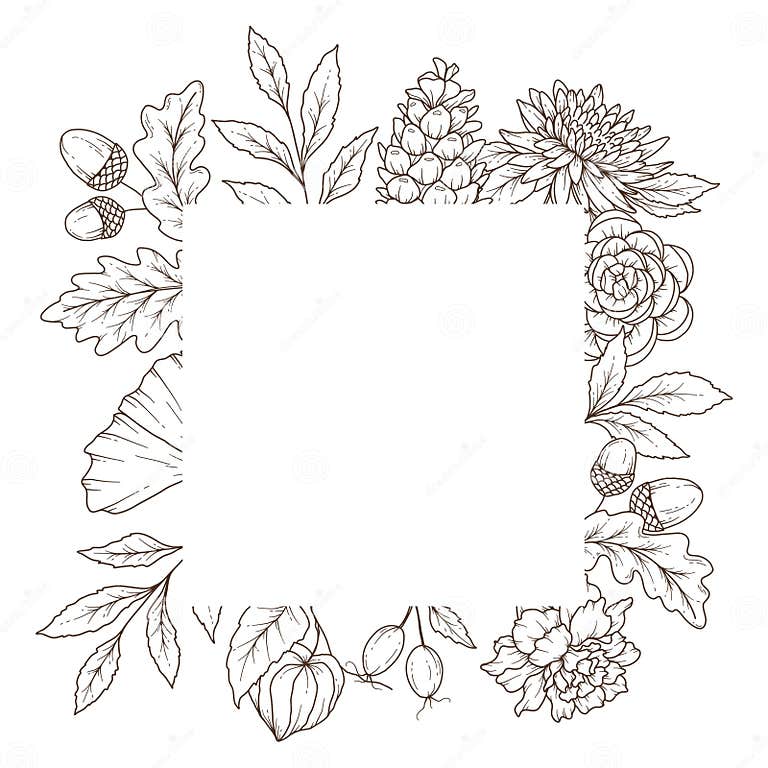 Fall Floral Frame Outline. Fall Foliage Line Art Illustration, Outline ...