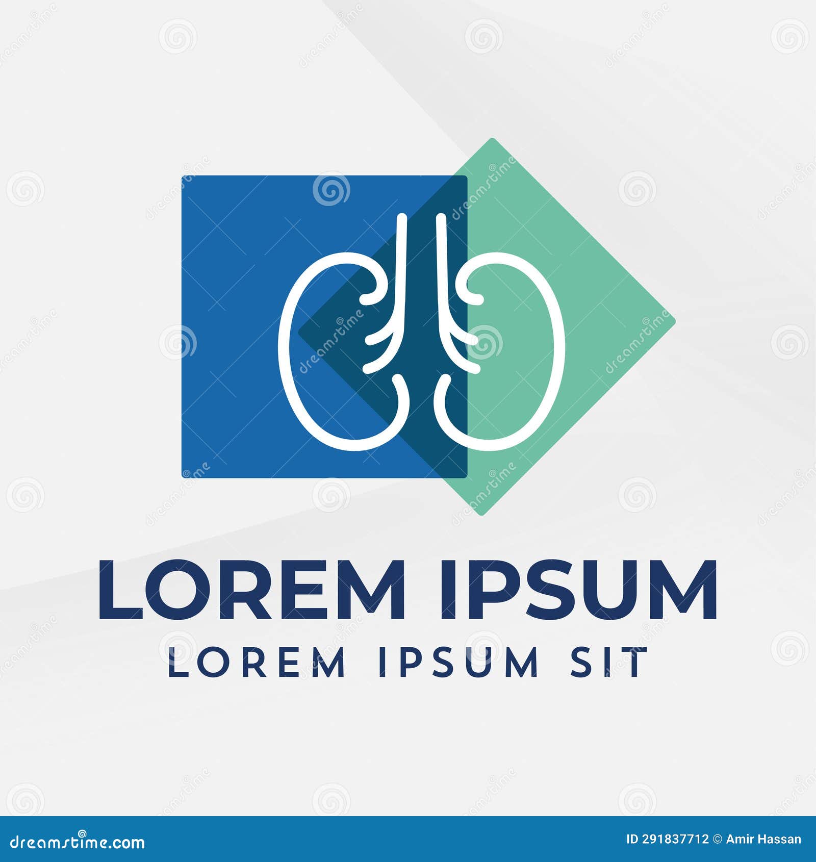 Kidney Urology Care Logo Designs Vector Human Kidneys Nephrology Icon ...