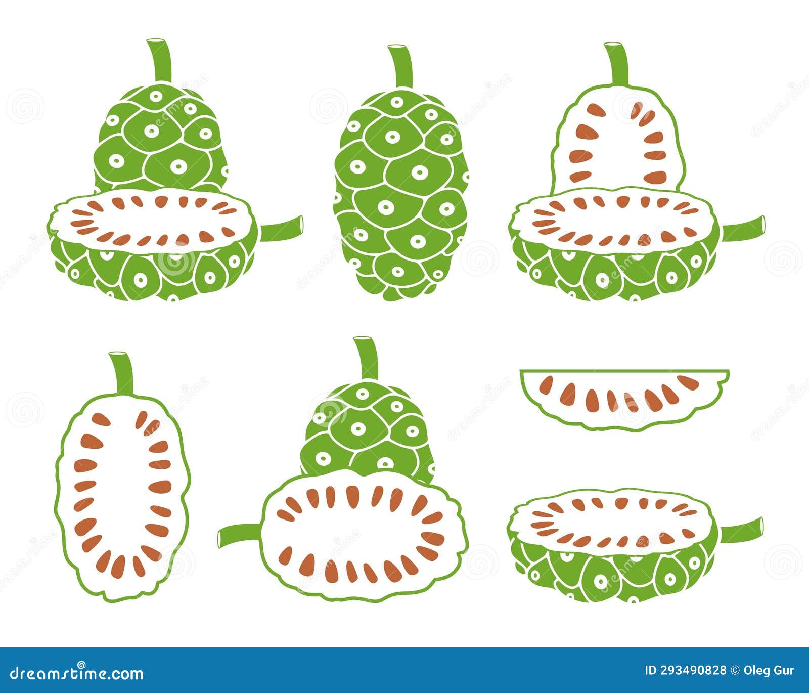 Noni Fruit Logo. Isolated Noni Fruit on White Background Stock Vector ...