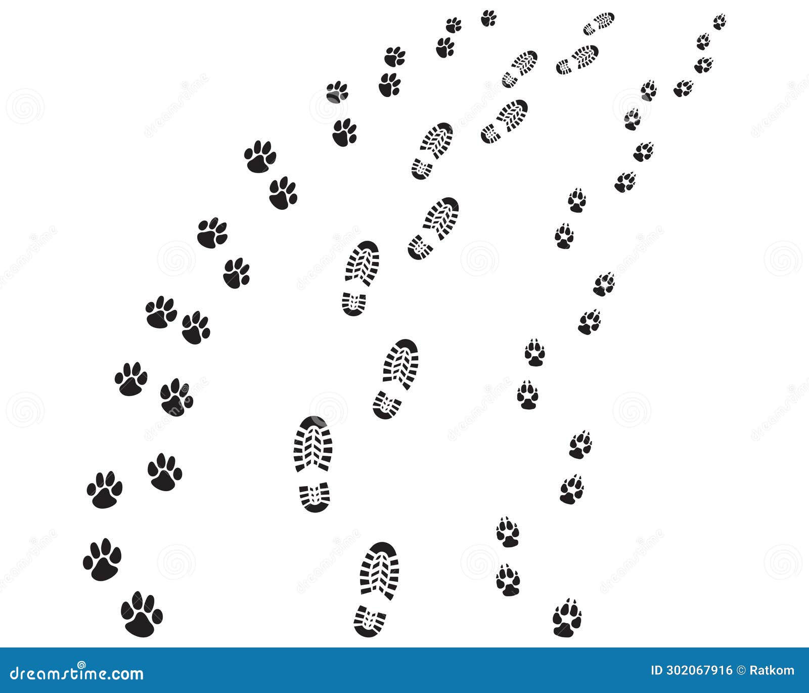 Shoe and dog paws prints stock illustration. Illustration of natural ...