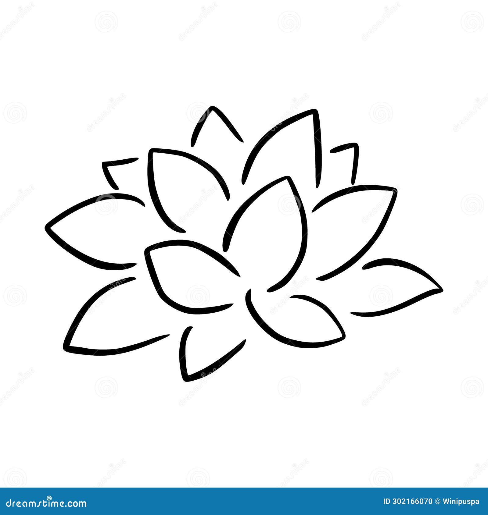 Simple Lotus Flower Line Drawing Outline Isolated In White Background ...
