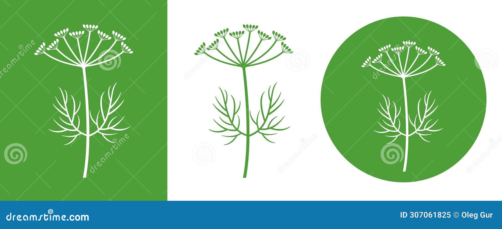 Caraway Logo. Isolated Caraway on White Background Stock Vector ...