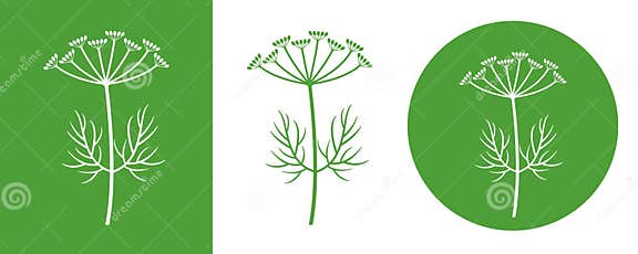 Caraway Logo. Isolated Caraway on White Background Stock Vector ...