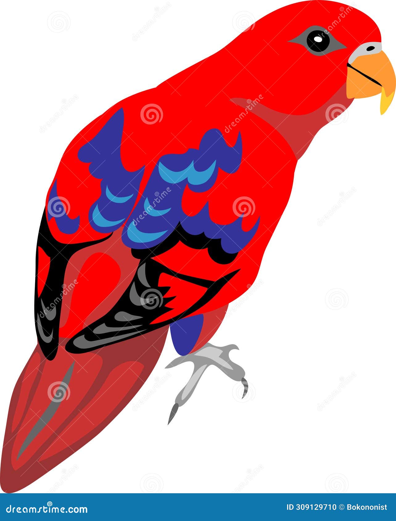 Lory Cartoons, Illustrations & Vector Stock Images - 759 Pictures to ...