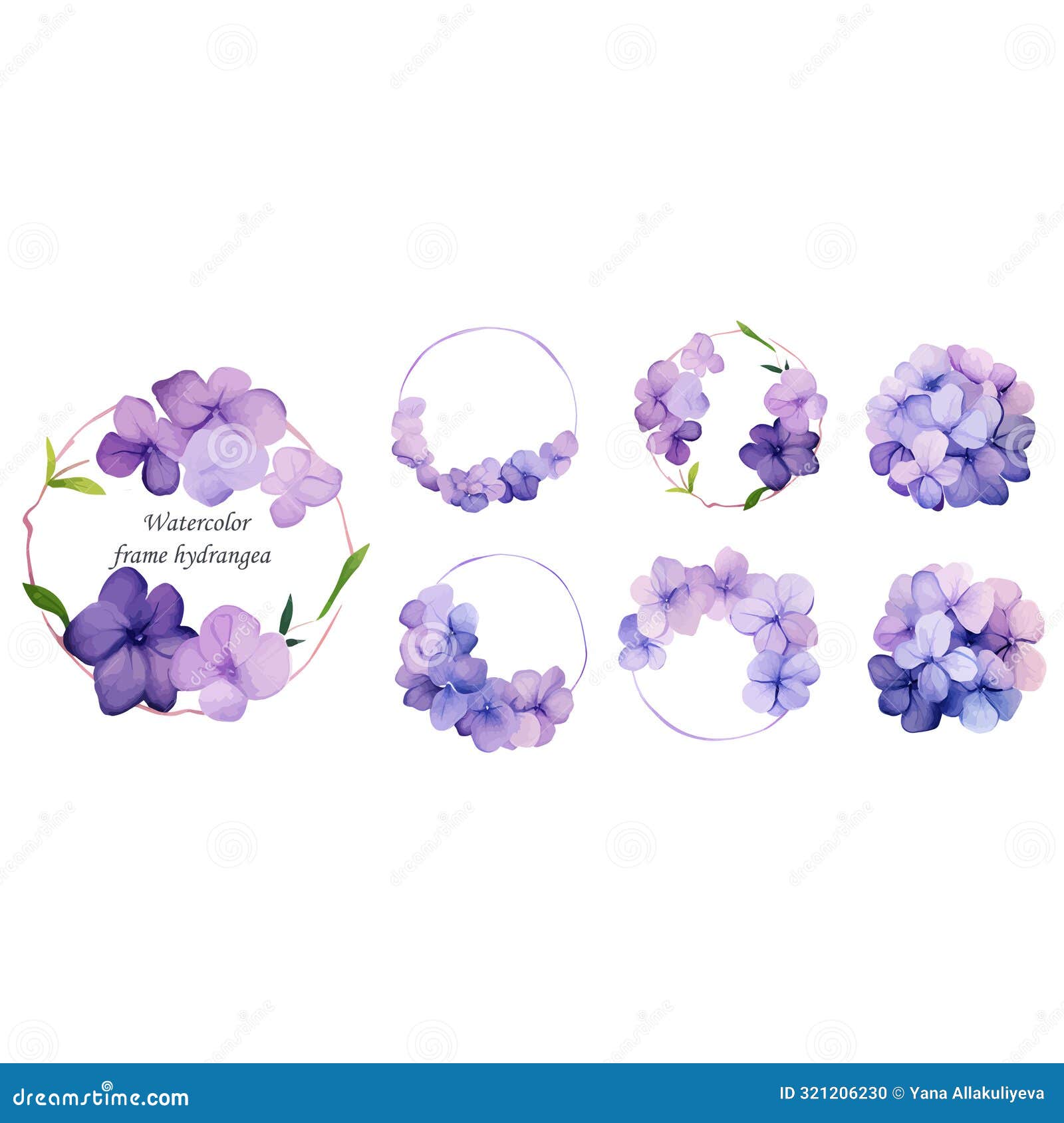 Watercolor Hydrangea Frame.watercolor Hydrangea Frame Stock Vector ...