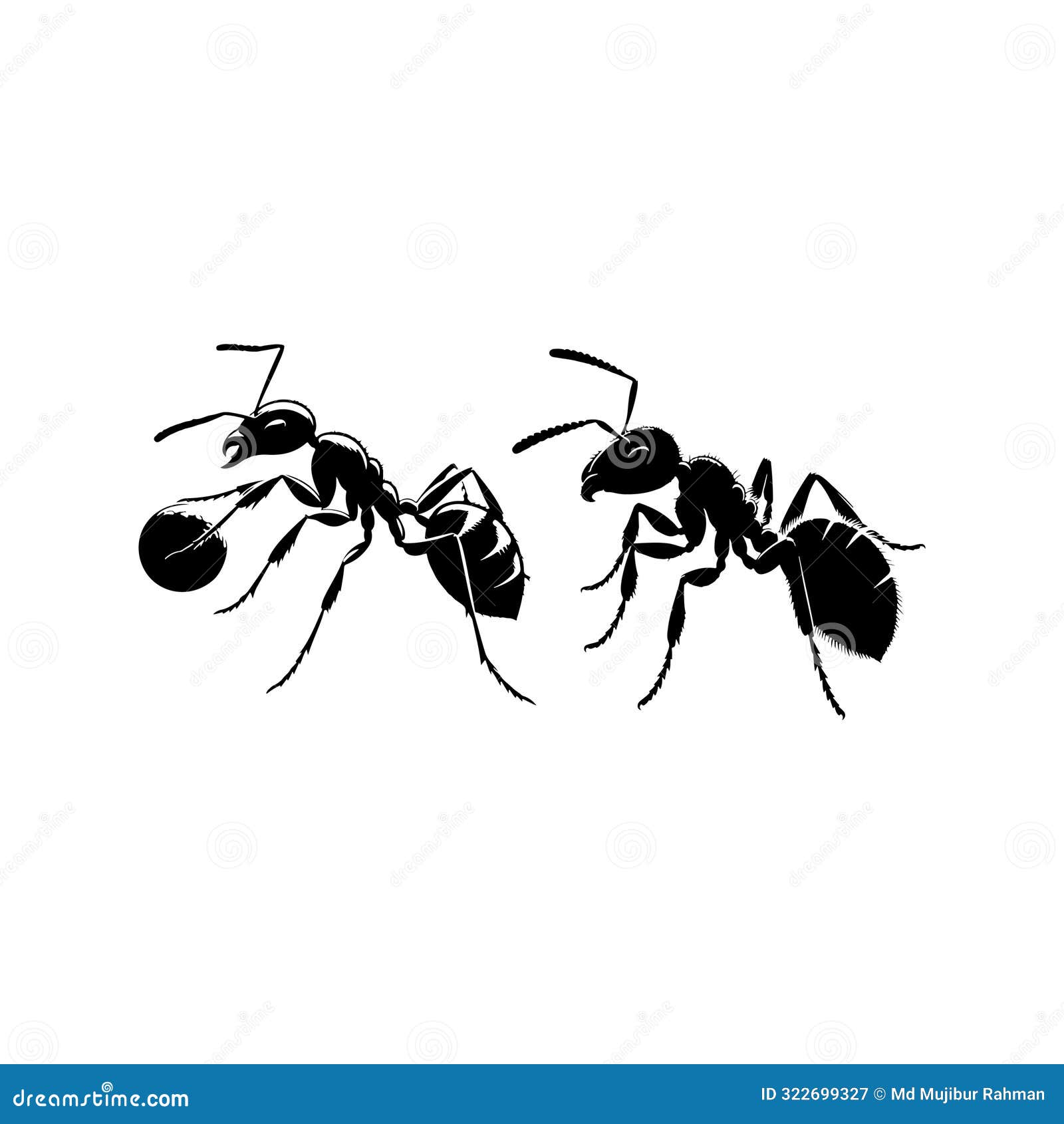 Ant Insect Side View Black and White Vector Illustration Stock Vector ...