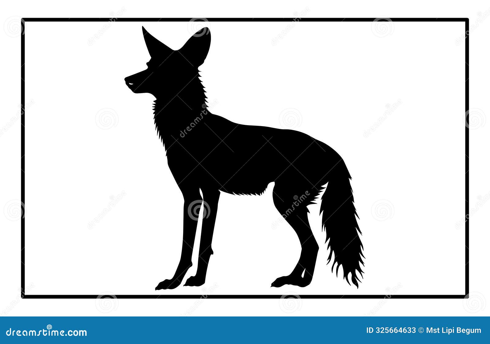 Jackal Silhouette, Hand Drawn Silhouette of a Wild Black Backed Jackal ...