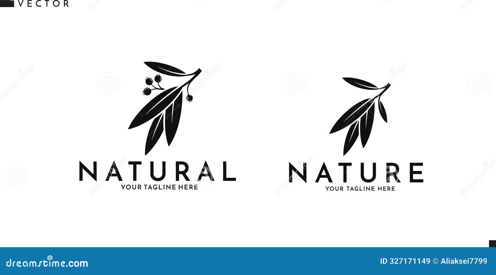 Eucalyptus Tree Sign. Gum Tree Stock Illustration - Illustration of ...