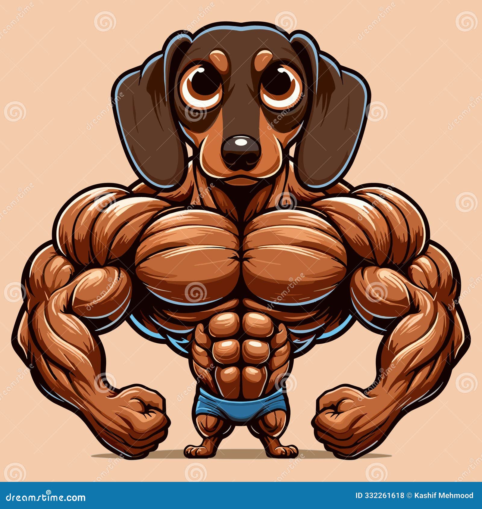 Powerful Gym Muscular Dachshund Dog Stock Vector - Illustration of pose ...