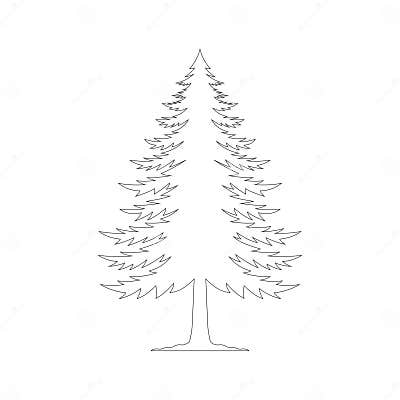 Pine Tree Line Art Design, Pine Tree Outline Stock Illustration ...