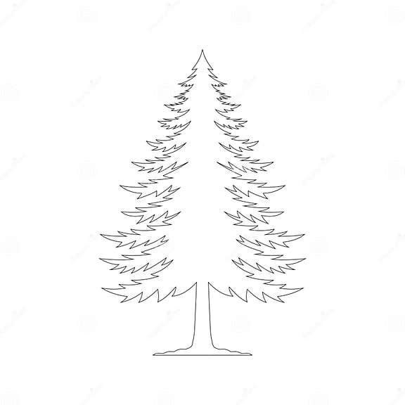 Pine Tree Line Art Design, Pine Tree Outline Stock Illustration ...