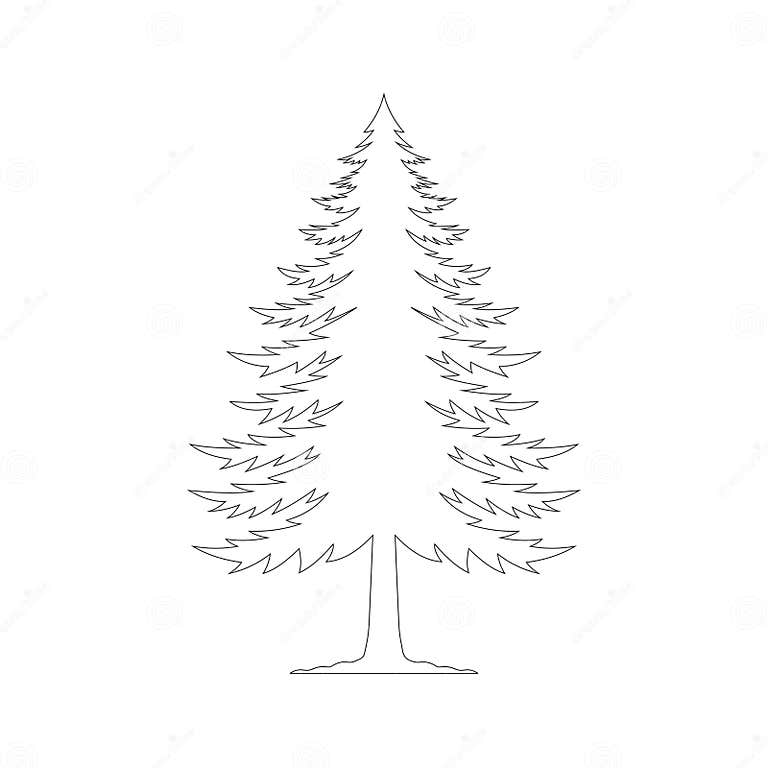Pine Tree Line Art Design, Pine Tree Outline Stock Illustration ...