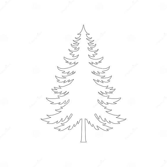 Pine Tree Line Art Design, Pine Tree Outline Stock Illustration ...