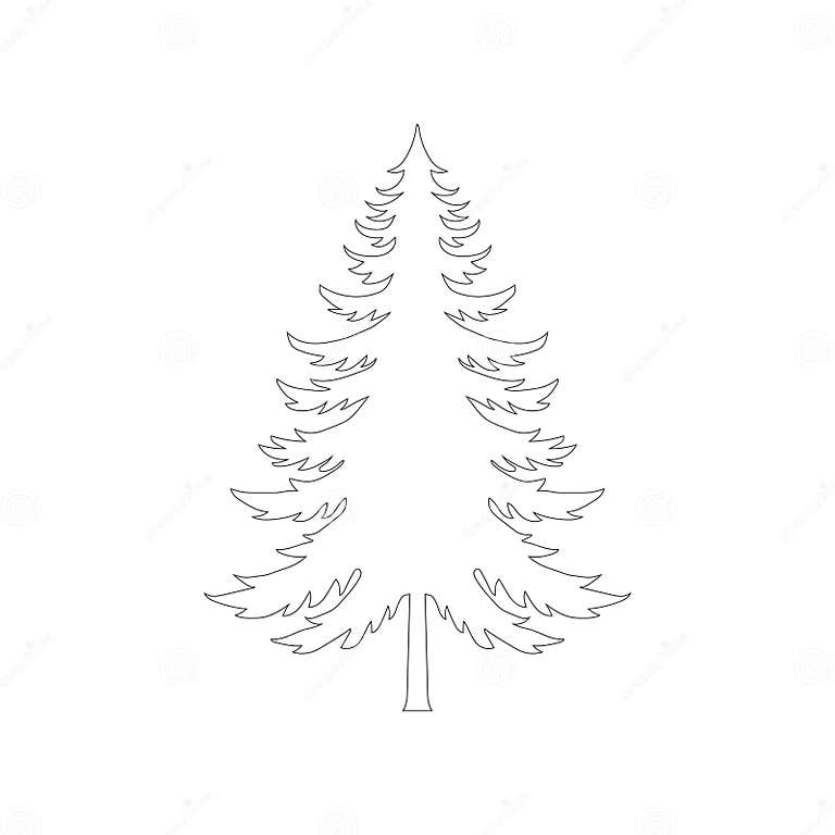 Pine Tree Line Art Design, Pine Tree Outline Stock Illustration ...